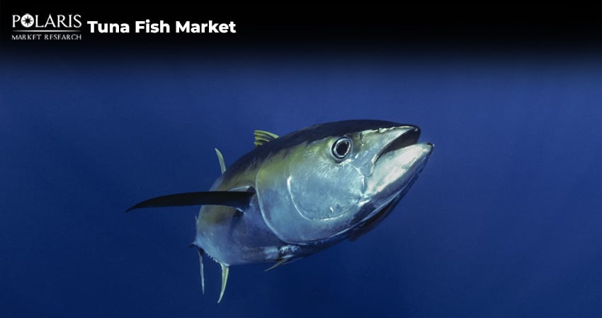 Tuna: Global Culinary Staple Explained - Discover Why Now!