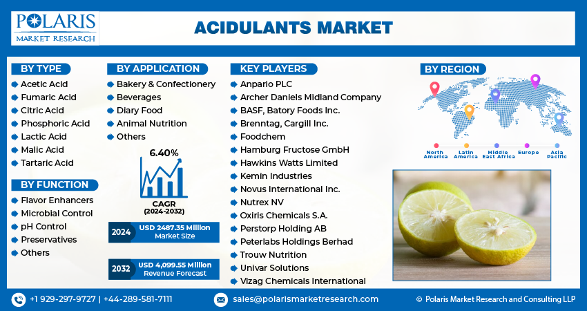 Acidulants Market Size, Share, Types, Analysis Report [2024-2034]