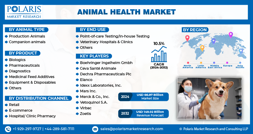 Animal Health Market Size, Growth & Trends, 2024-2032