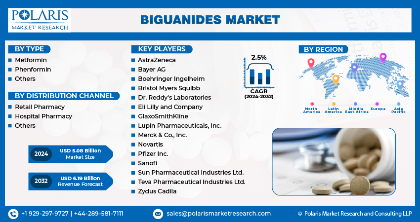 Biguanides Market Size, Demand & Future Application By 2032