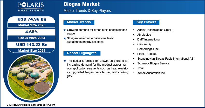 Biogas Market Size, Growth Analysis & Forecast 2025-2034