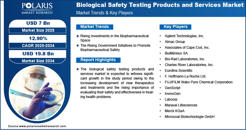Biological Safety Testing Product and Services Market Report 2034