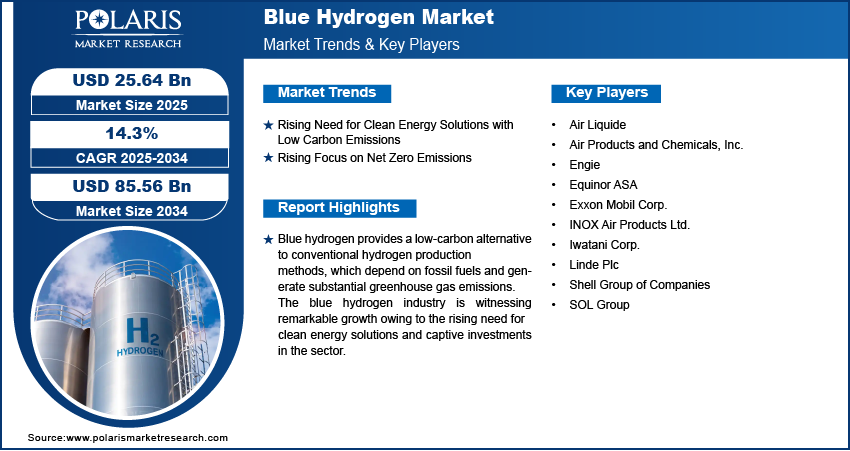 Blue Hydrogen Market Size, Share, Trends | Report 2034
