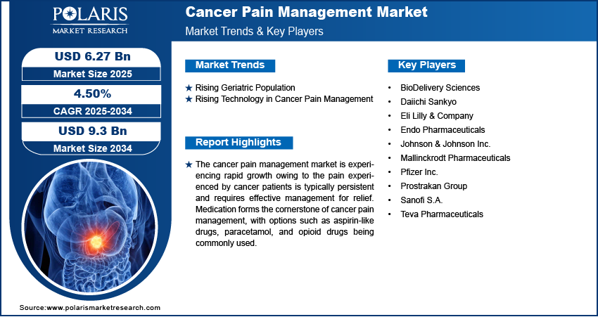 Cancer Pain Management Market Size, Share, Growth & Trends 2034