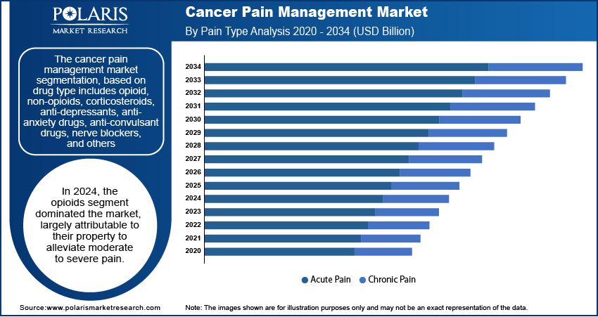 Cancer Pain Management Market Size, Share, Growth & Trends 2034