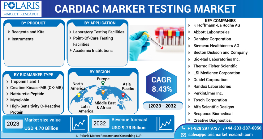 Cardiac Marker Testing Market Shares, Size & Growth 2024-2032