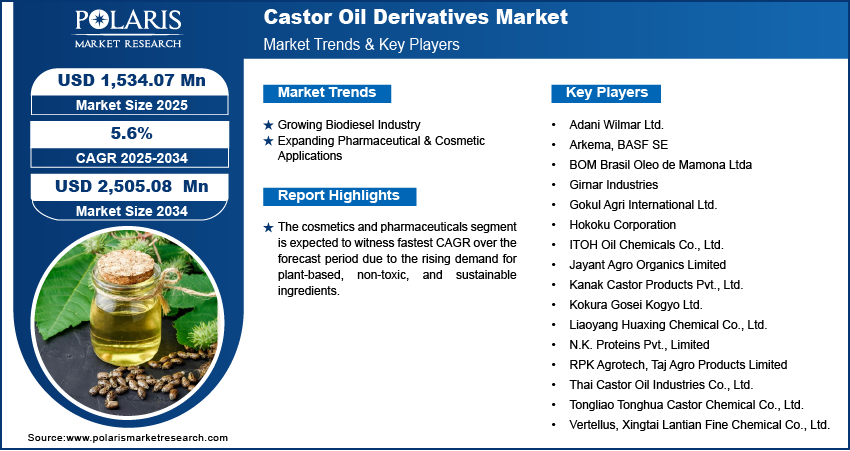 Castor Oil Derivatives Market: Insights, Industry Forecast, 2034