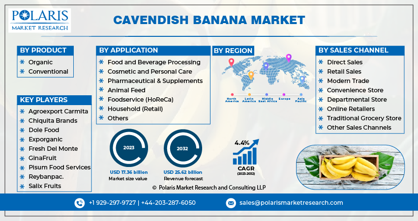 Cavendish Banana Market Investment Strategy, Key Development Till 2032