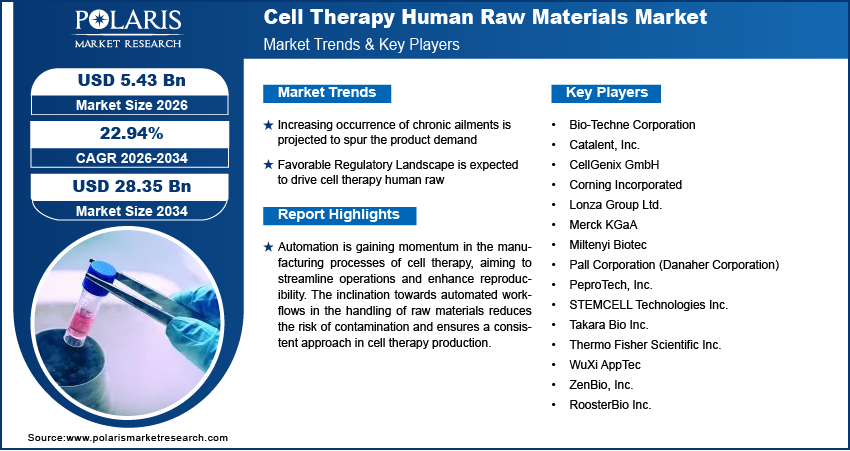 Cell Therapy Human Raw Materials Market Size Report, 2024-2032