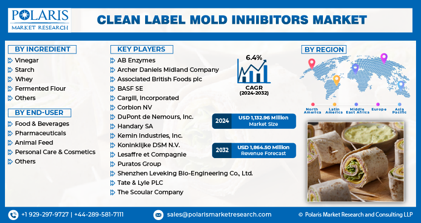 Clean Label Mold Inhibitors Market Size, Growth Report, 2024-2032