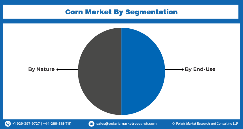 Corn Market Size, Share & Forecast Report 2032