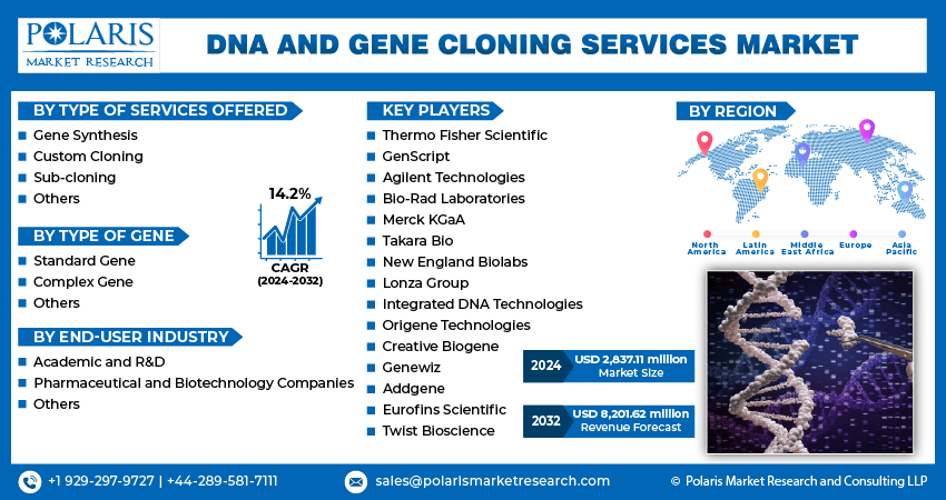 DNA and Gene Cloning Services Market Research Report, 2032