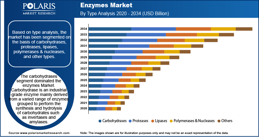 Global Enzymes Market Size, Share & Global Forecast 2034