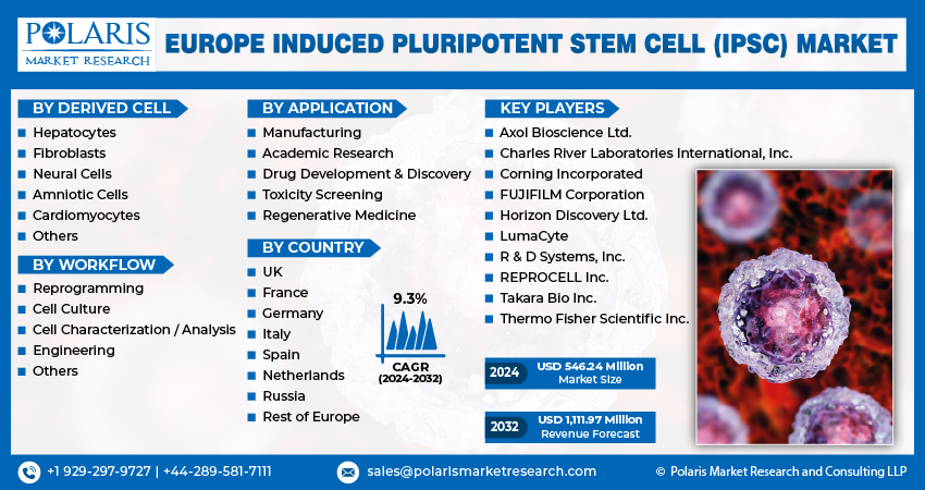 Europe Induced Pluripotent Stem Cell (iPSC) Market Report 2024-2032