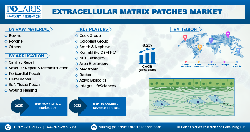 Global Extracellular Matrix Patches Market Size, Share Analysis Report ...