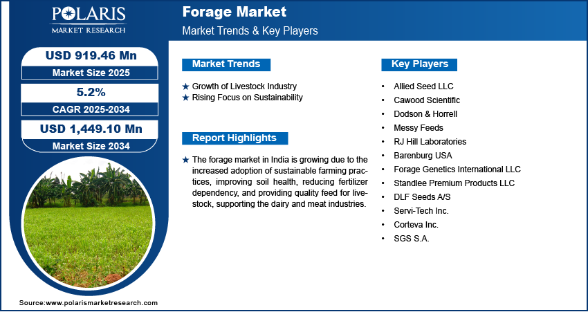 Forage Market Size, Share, Trends & Growth Report 2034