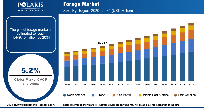Forage Market Size, Share, Trends & Growth Report 2034