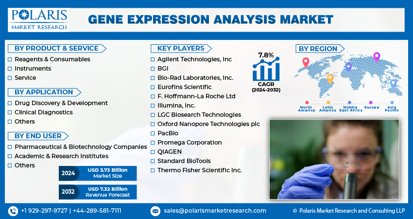 Global Gene Expression Analysis Market Size, Share & Forecast 2032