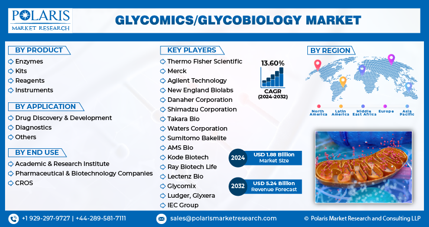 Glycomics/Glycobiology Market Size & Shares - 2032