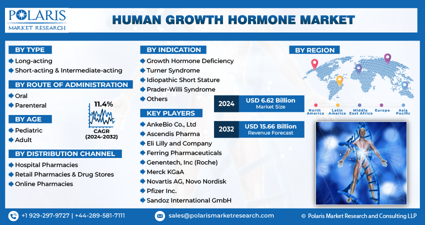 Human Growth Hormone Market Size, Industry Growth Report, 2024-2032