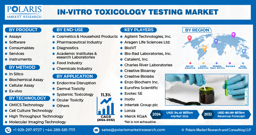 In-vitro Toxicology Testing Market Industry Growth Report, 2024-2032