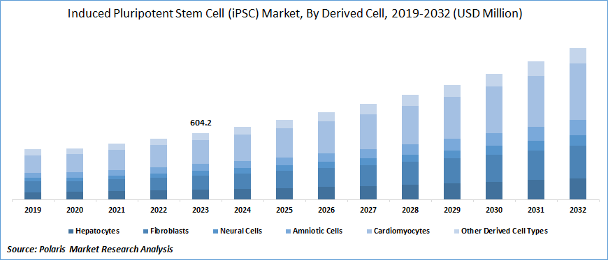 Induced Pluripotent Stem Cell (iPSC) Market Size Report 2024-2032