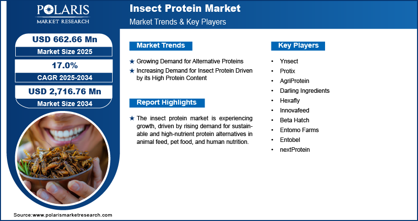Insect Protein Market Size Report, 2025 - 2034