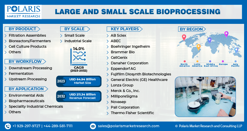 Large and Small Scale Bioprocessing Market, Size, Report, 2023-2032