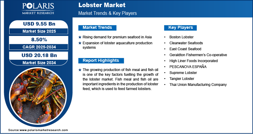 Lobster Market Size, Share, Growth Analysis Report, 2034