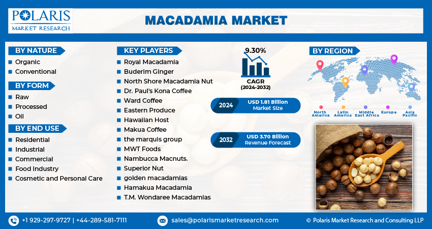 Macadamia Market Size & Share Report, 2032