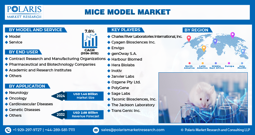 Mice Model Market Size, Share, Trends and Revenue, 2024-2032