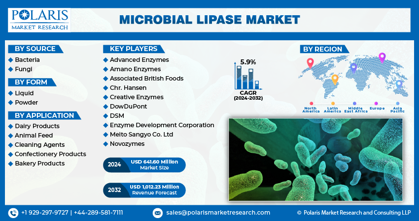 Microbial Lipase Market Trends, Growth Opportunity, 2024-2032