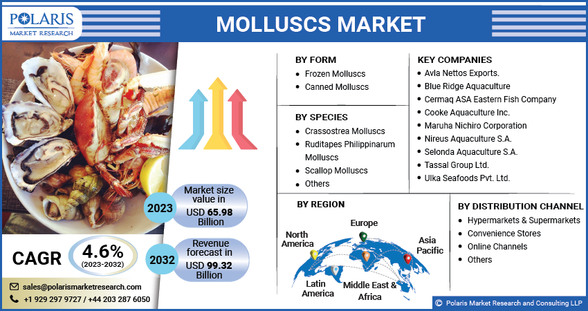 Global Molluscs Market Size, Share Analysis Report, 2023-2032