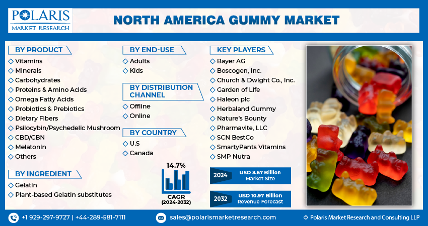 North America Gummy Market Trends, Share, Drivers, 2024-2032
