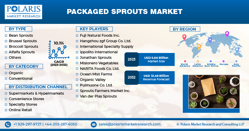 Global Packaged Sprouts Market Size, Share Analysis Report, 2023-2032