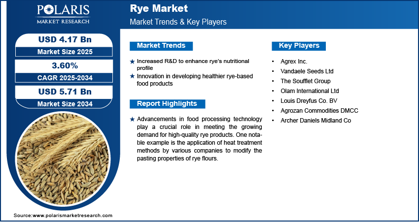 Rye Market Size, Share, Growth | Trends, 2034