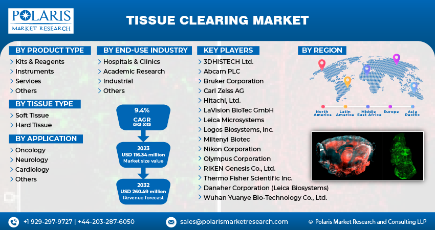 Tissue Clearing Market Size, Share, By Types & Forecast to 2032