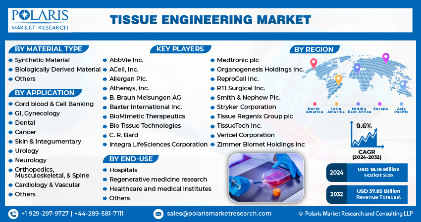 Tissue Engineering Market Size Share & Analysis Report, 2024-2032