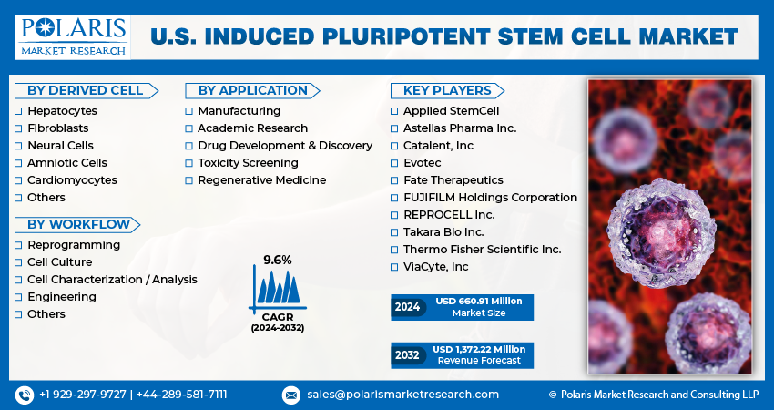 U.S. Induced Pluripotent Stem Cell (iPSC) Market Report 2024-2032