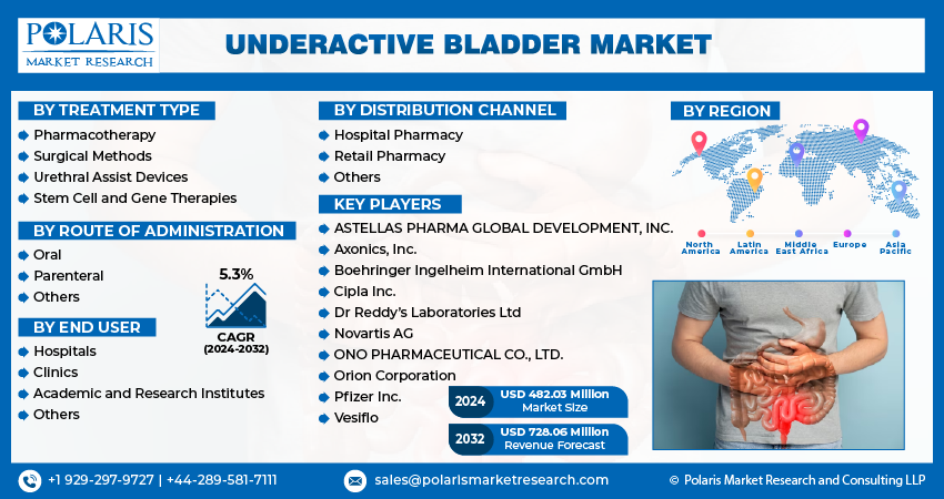 Global Underactive Bladder Market Size & Share Report, 2024-2032