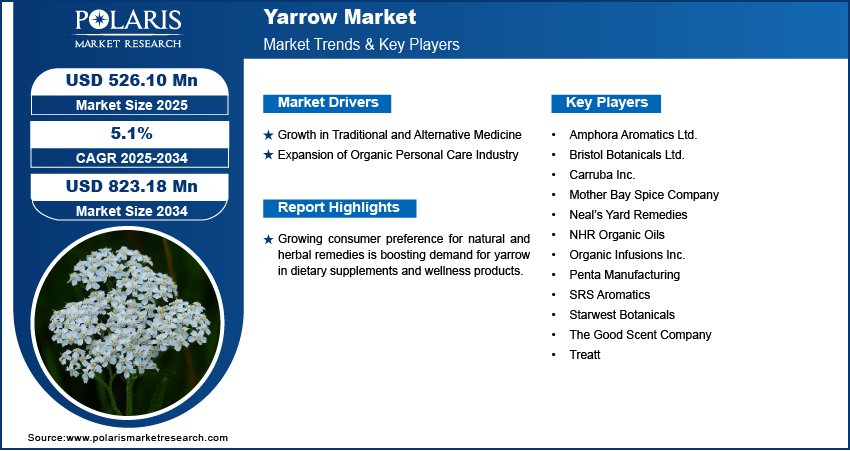 Yarrow Market Insights, Size, Share & Growth Report, 2034
