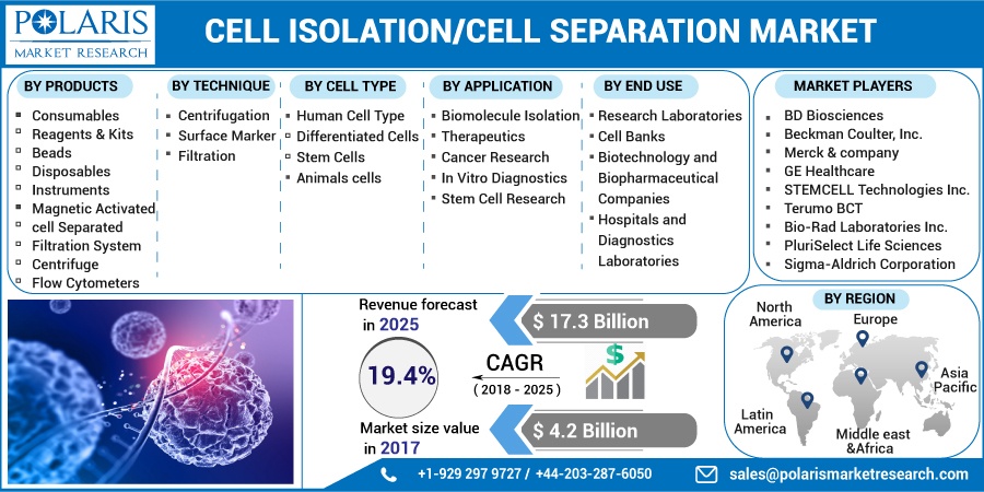 Global Cell Isolation / Cell Separation Market Size, Share Forecast 2025